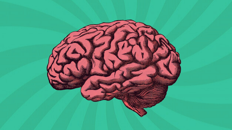 Terrifying Experiments in Human History You Probably Don't Know - OMG.ROCKS